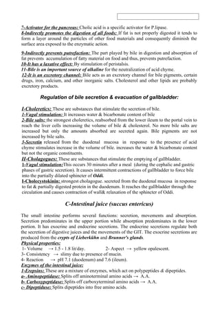 digastiv important .docxskkdjdjdvjdjnsnsdjj | DOC