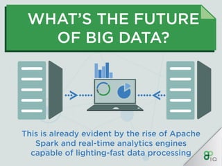 IQ Crash Course - Big Data Analytics | PDF