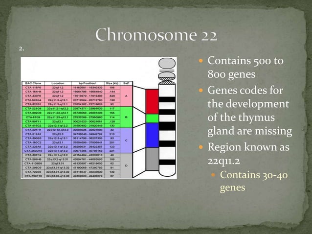 Di george syndrome ppt | PPTX