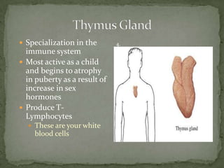 Di george syndrome ppt | PPTX