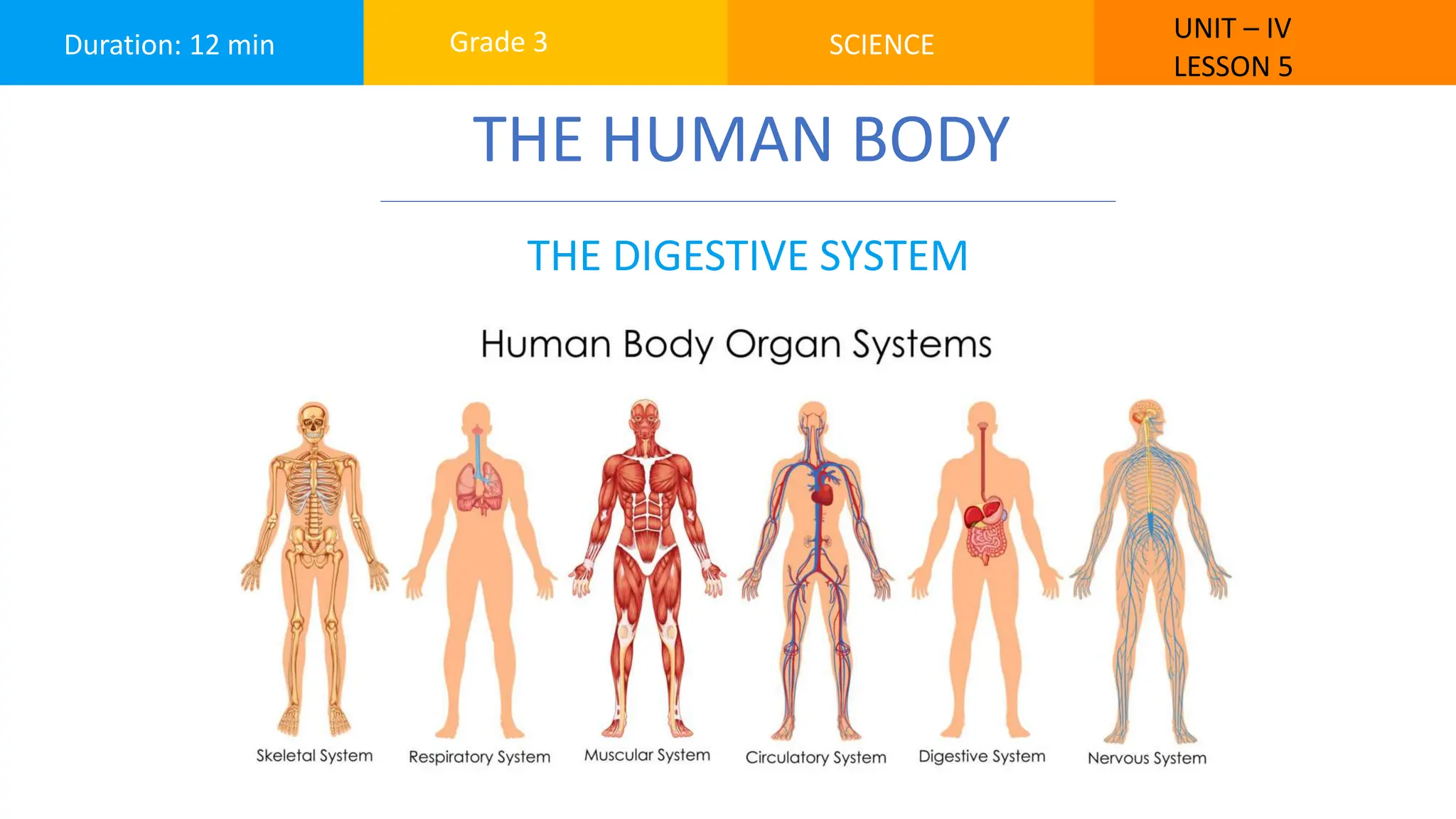 Digest file grade 3 human body science subject | PPTX