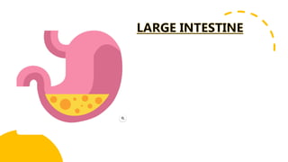 Digest file grade 3 human body science subject | PPTX