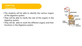 Digest file grade 3 human body science subject | PPTX