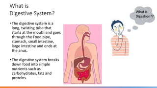Digest file grade 3 human body science subject | PPT