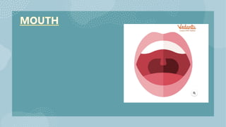 Digest file grade 3 human body science subject | PPTX
