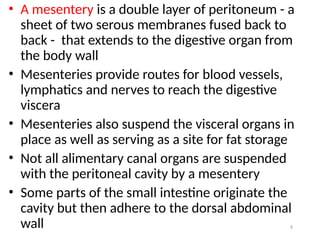 THE GROSS AND MICROSCOPIC ANATOMY OF DIGESTIVE SYSTEM.ppt