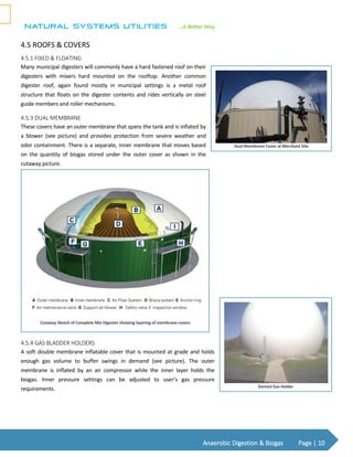 Digesters paulgreene | PDF | Chemistry | Science