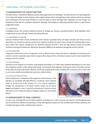 Digesters paulgreene | PDF | Chemistry | Science