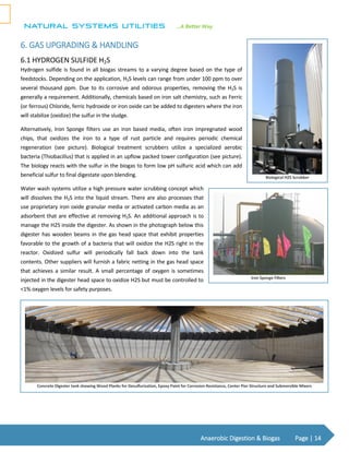 Digesters paulgreene | PDF