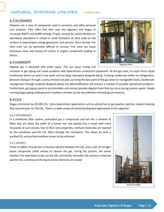 Digesters paulgreene | PDF | Chemistry | Science