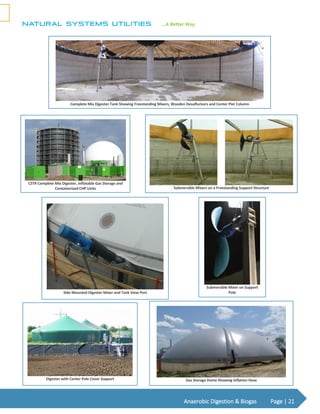 Digesters paulgreene | PDF | Chemistry | Science