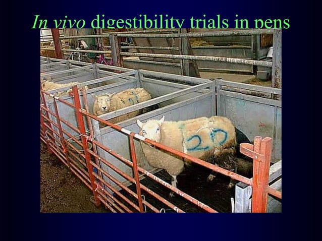 Digestibility ppt.pdf