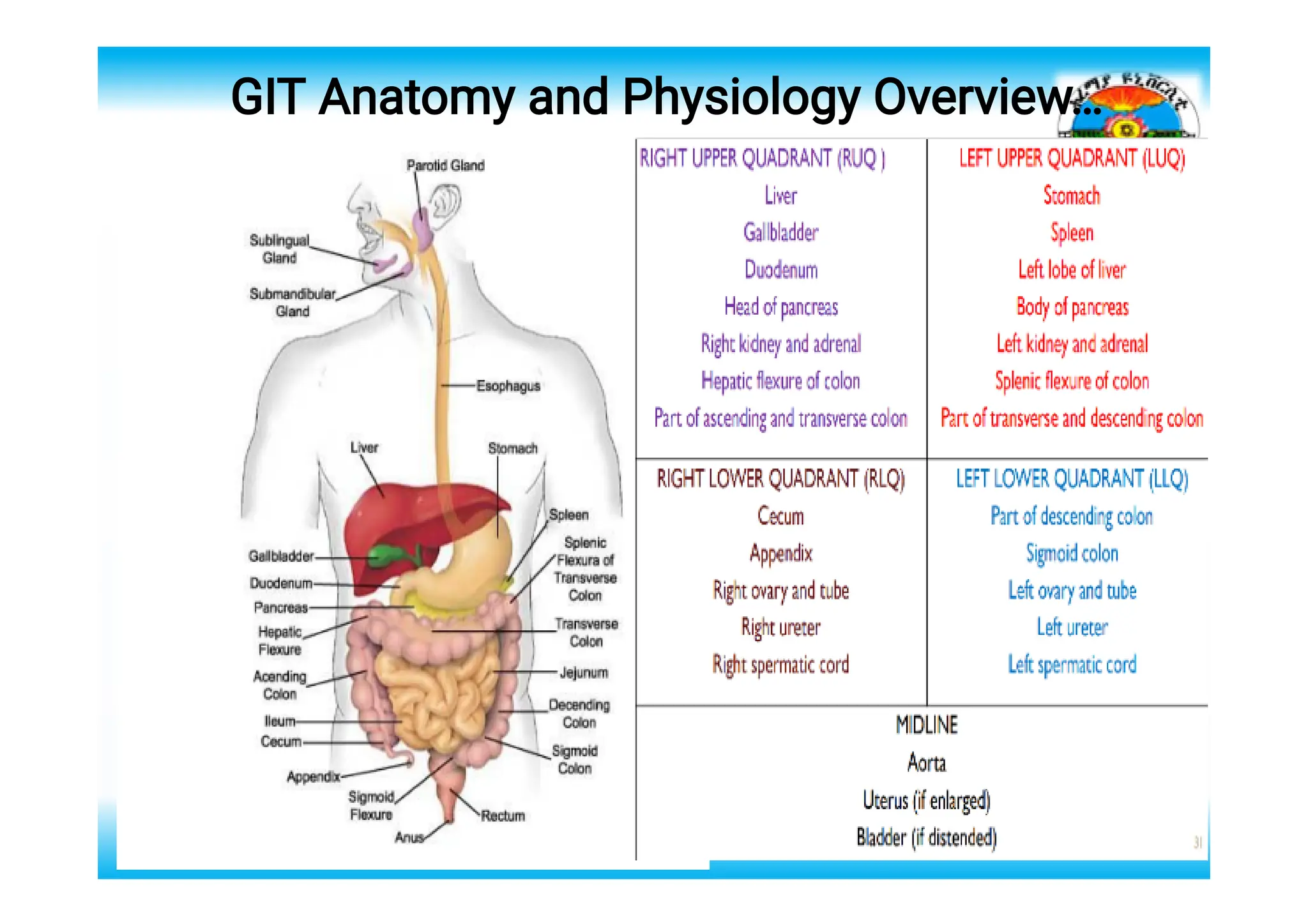 digestive system disorder medical surgical.pdf