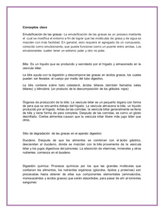 Digestión de las grasas | DOCX