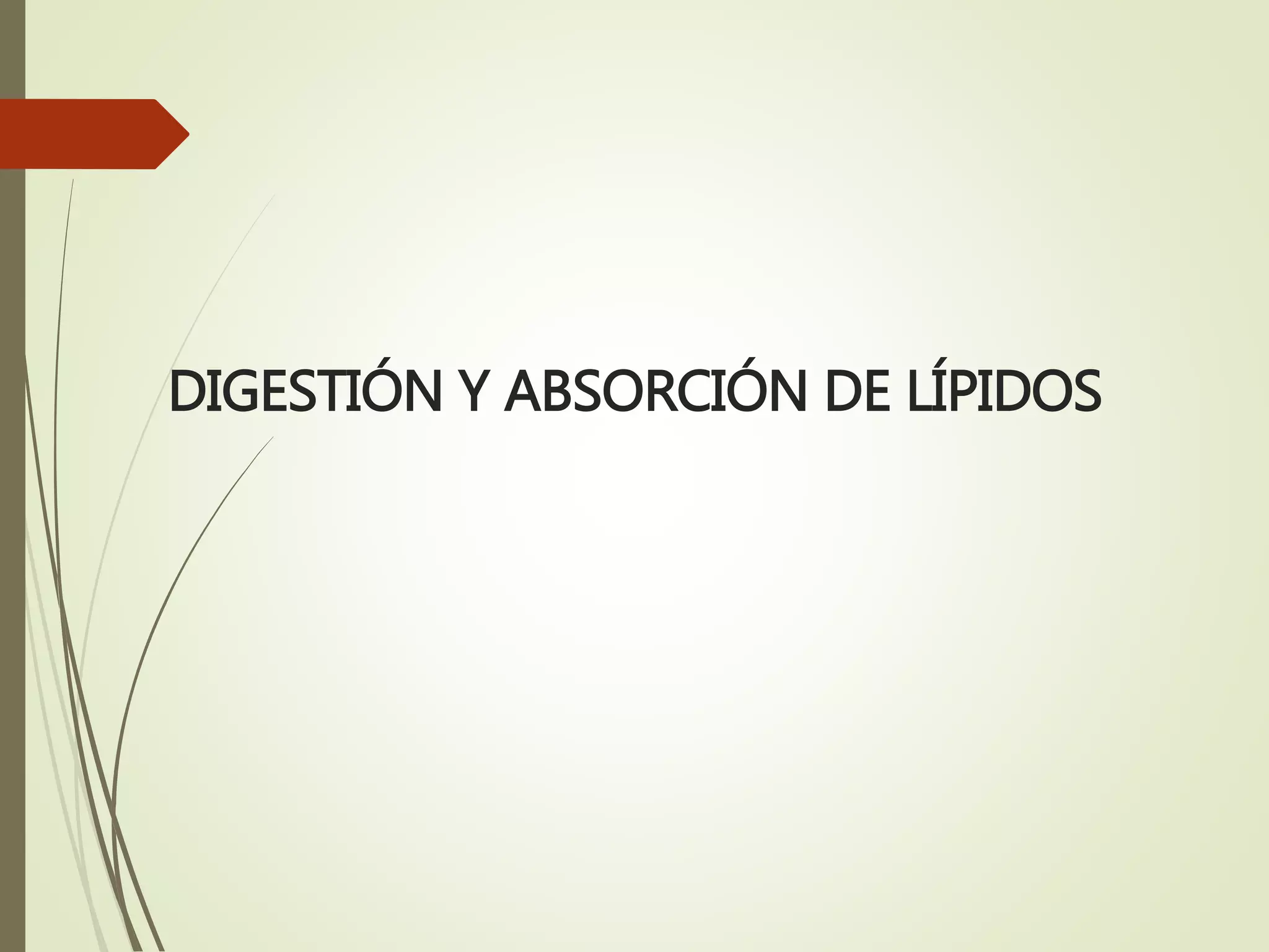 Digestión y absorción de lípidos y proteinas | PPT