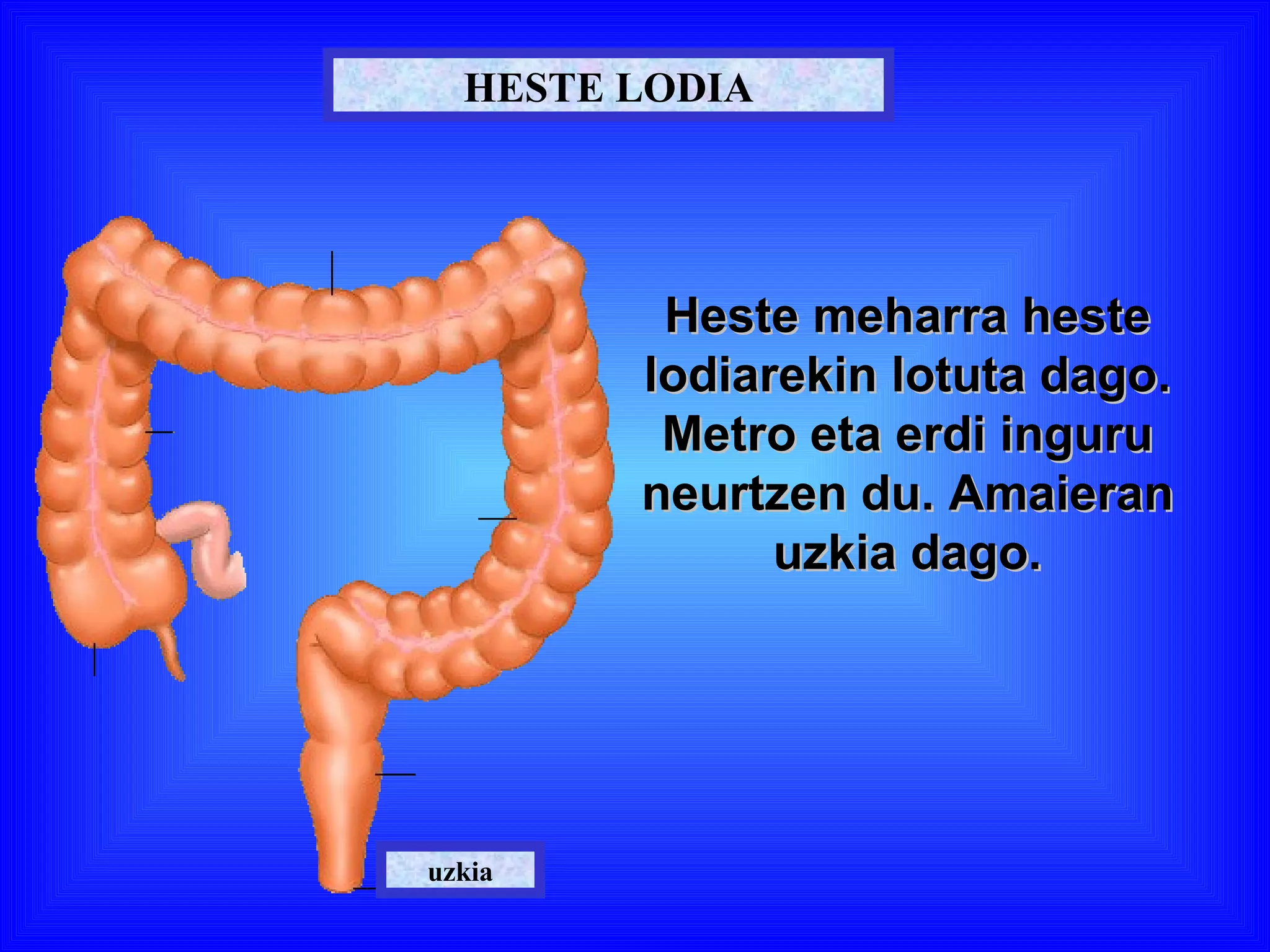 Digestio aparatua | PPT