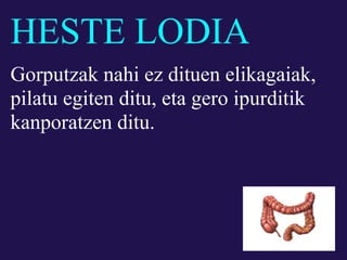 Digestio aparatua | PPT