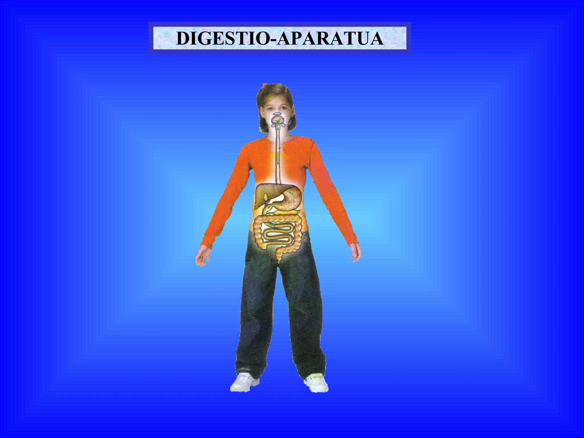Digestio aparatua | PPT