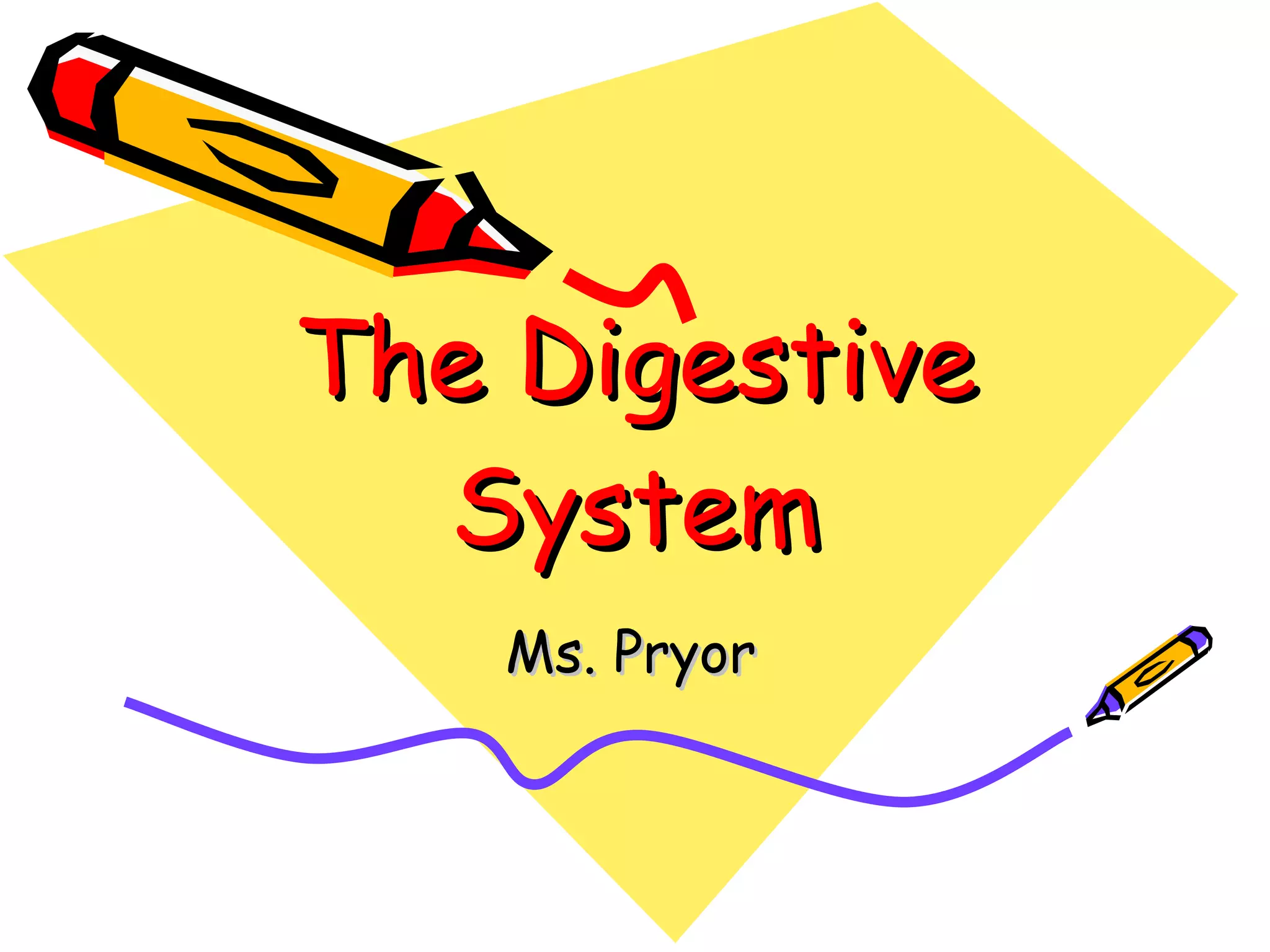 Digestion | PPT