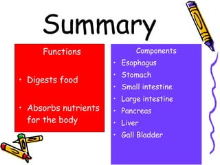 Digestion | PPT
