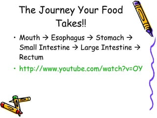 Digestion | PPT