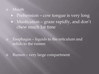 Digestion | PPTX
