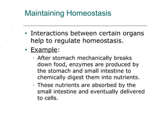 Digestion | PPT