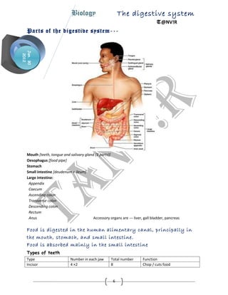 IGCSE Biology chapter digestion by ..T@NV!R | PDF