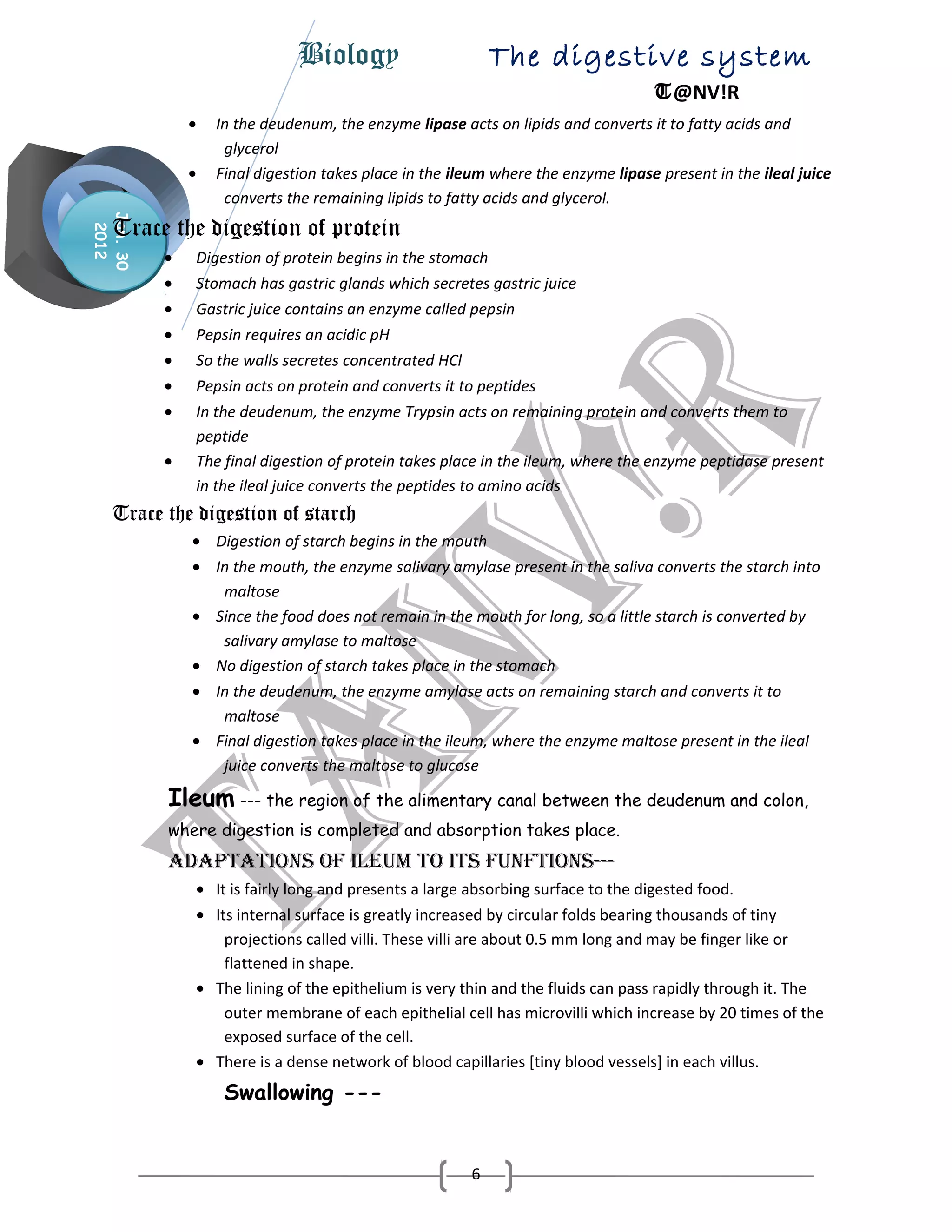 IGCSE Biology chapter digestion by T@NV!R | DOC