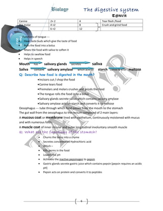 IGCSE Biology chapter digestion by T@NV!R | DOC