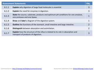 Digestion (core) | PPTX