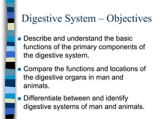 Digestion | PPT