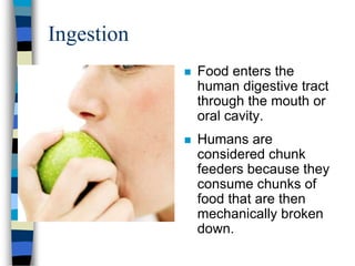 Digestion | PPTX
