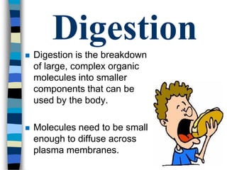 Digest Definition
