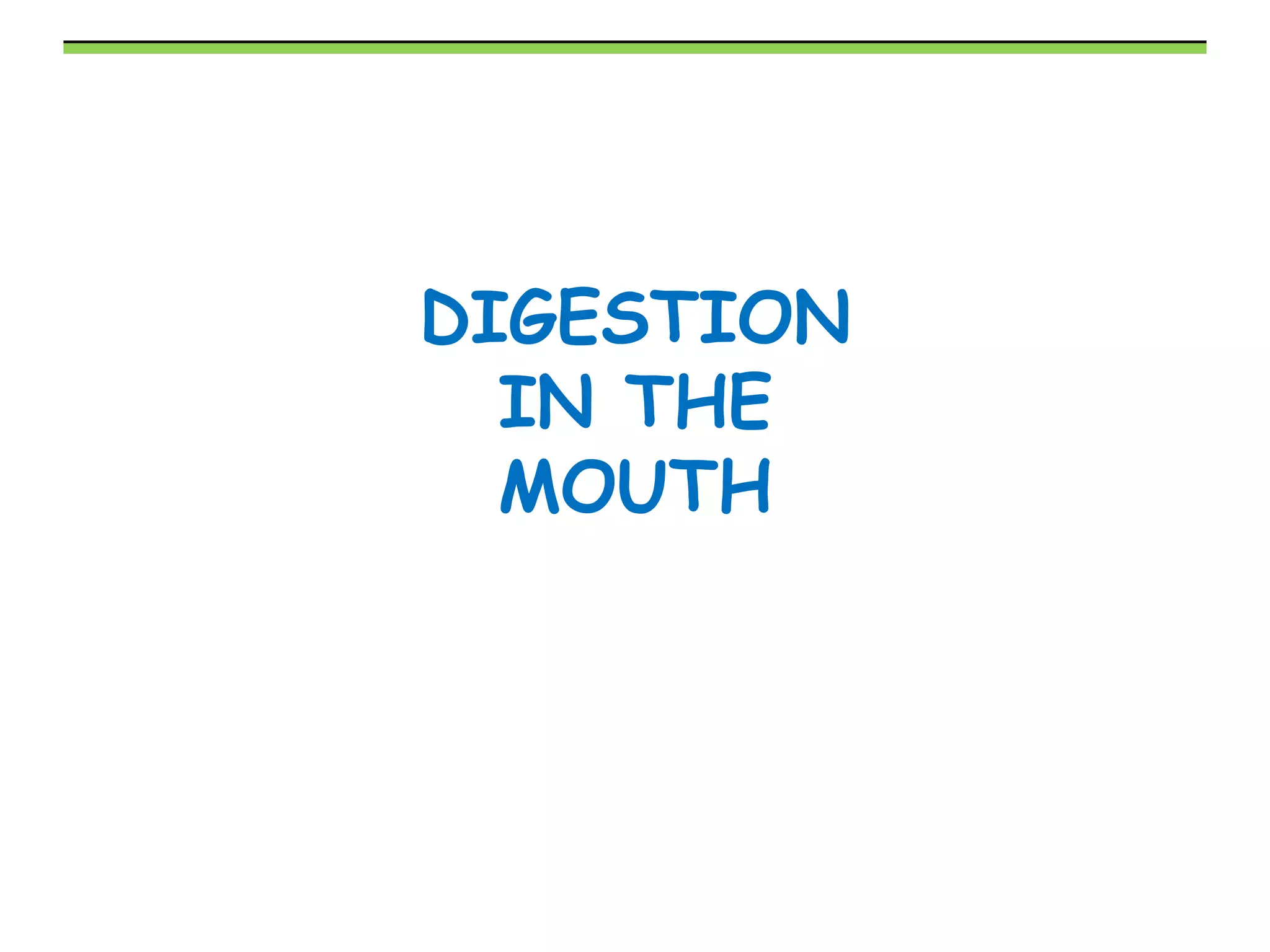 Digestion | PPTX