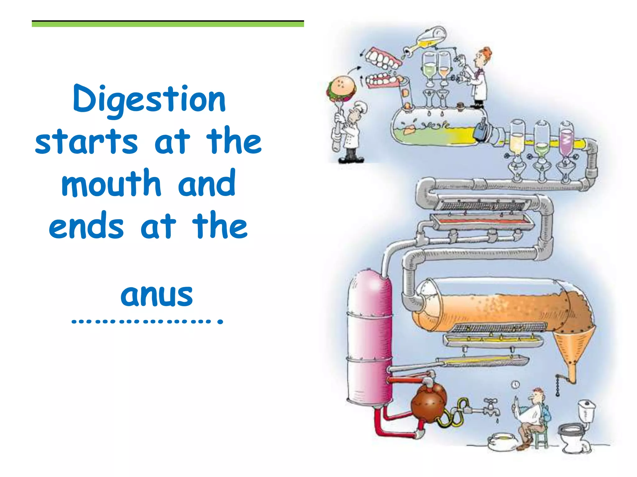 Digestion | PPTX