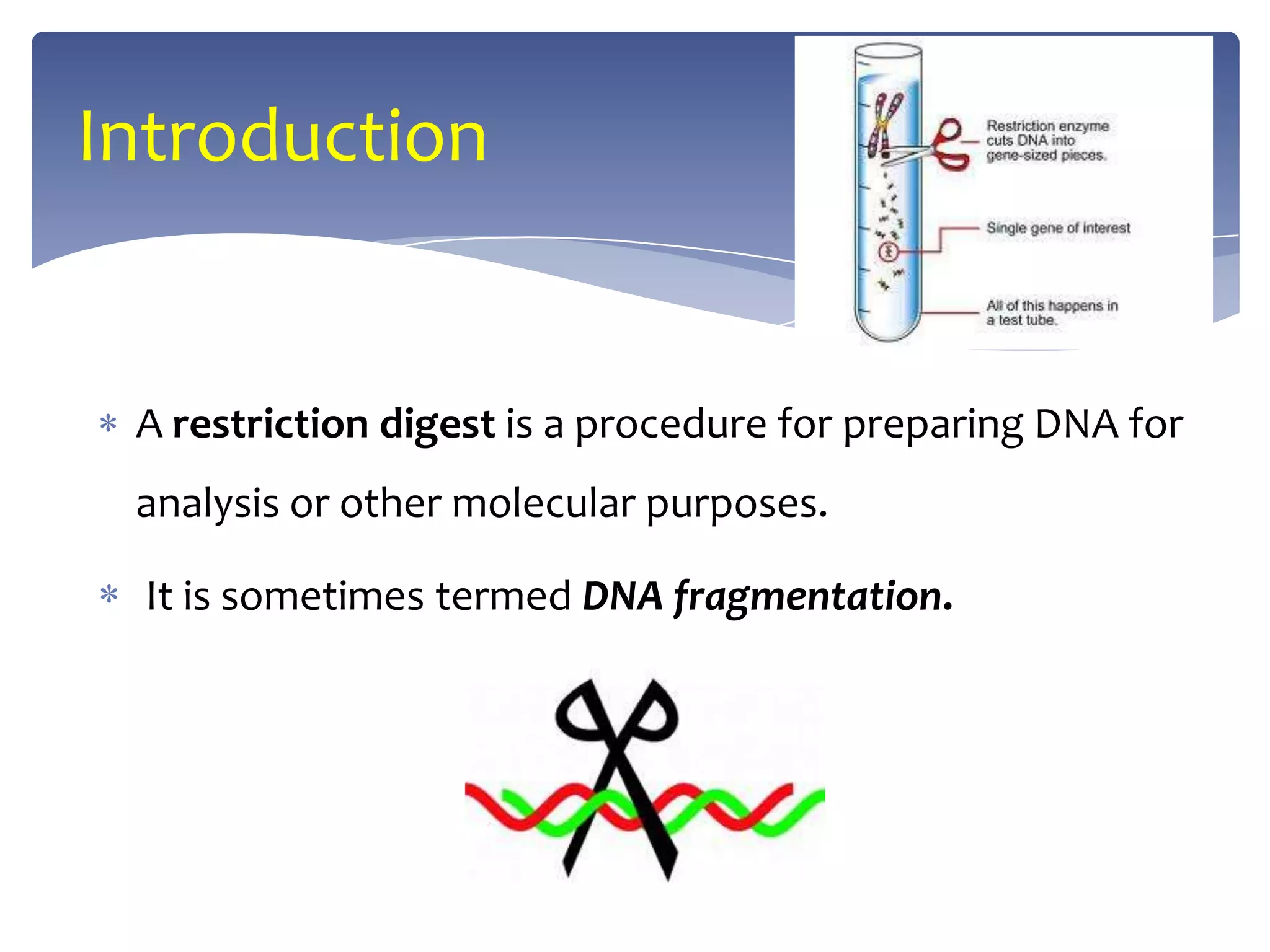 Digestion in gene cloning | PPTX