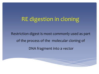 Digestion in gene cloning | PPTX