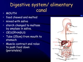 Digestion | PPT