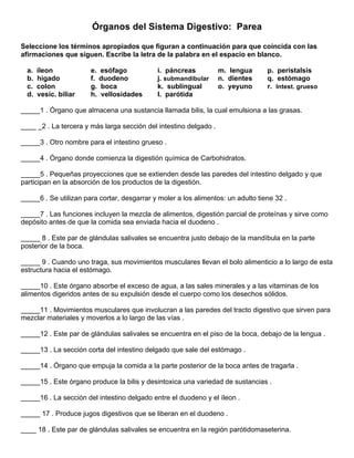 Diagrama Del Sistema Digestivo Para La Hoja De Trabajo De Los Niños