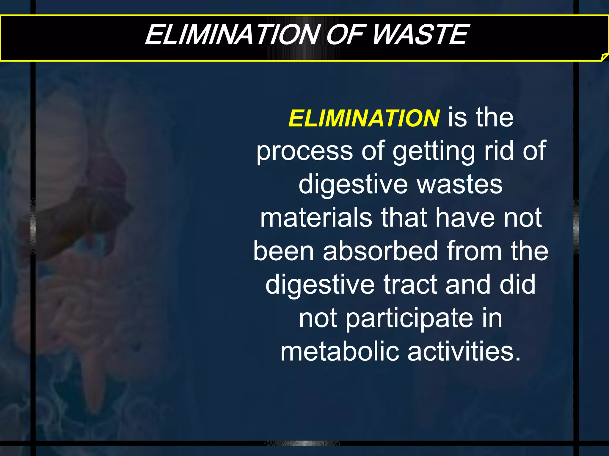 THE HUMAN DIGESTIVE SYSTEM | PPTX