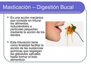 El proceso de la digestión humana | PPT