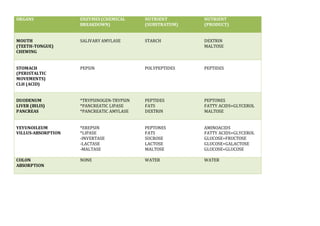 Digestion (CHART) | PPT