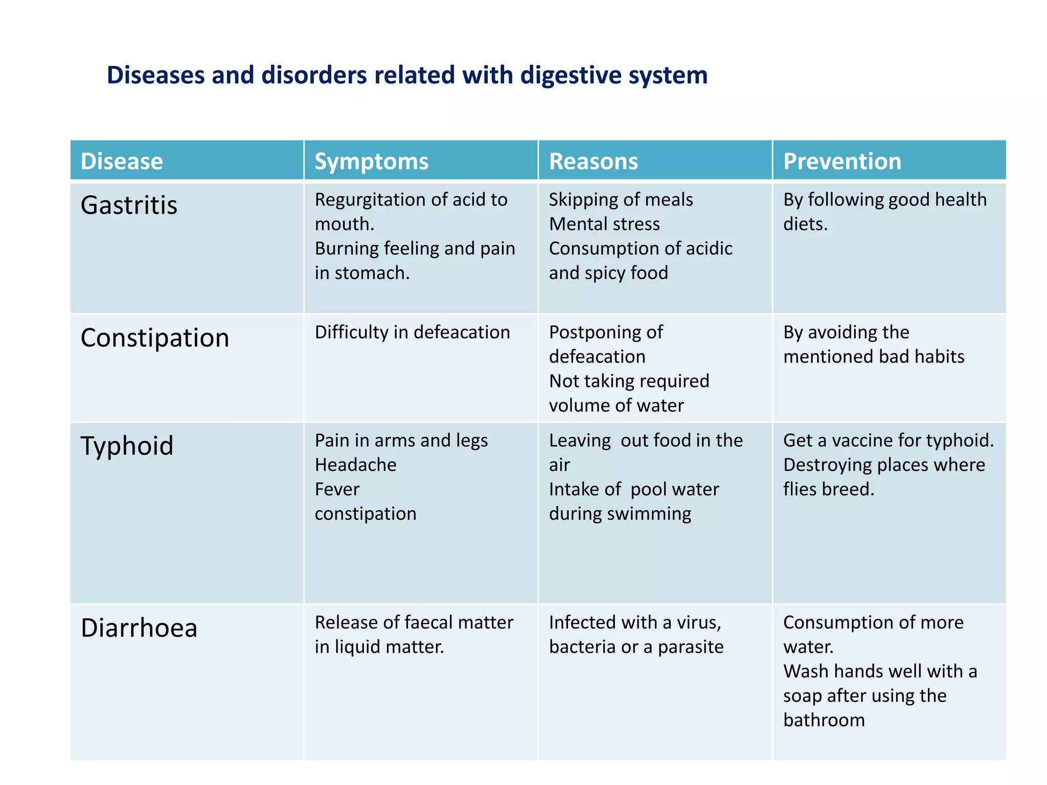 Digestion in Human Body | PPTX