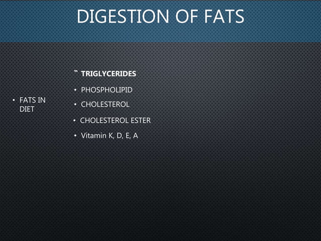 Digestion of proteins, carbohydrates and fats | PPTX | Chemistry | Science