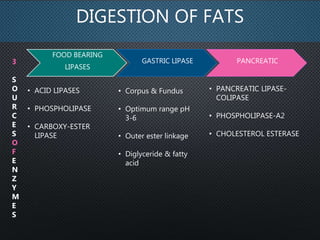 Digestion of proteins, carbohydrates and fats | PPTX