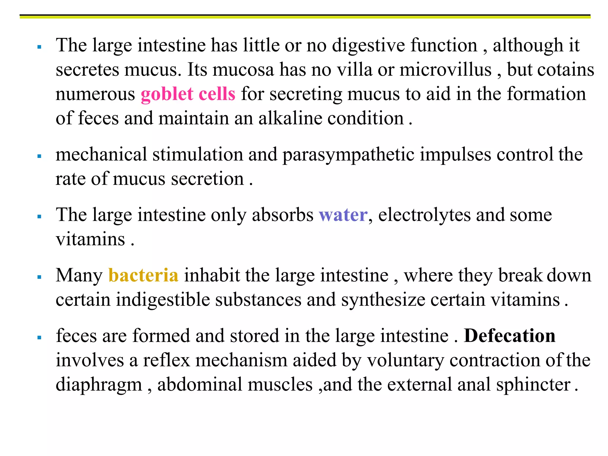 Digestive system | PPTX
