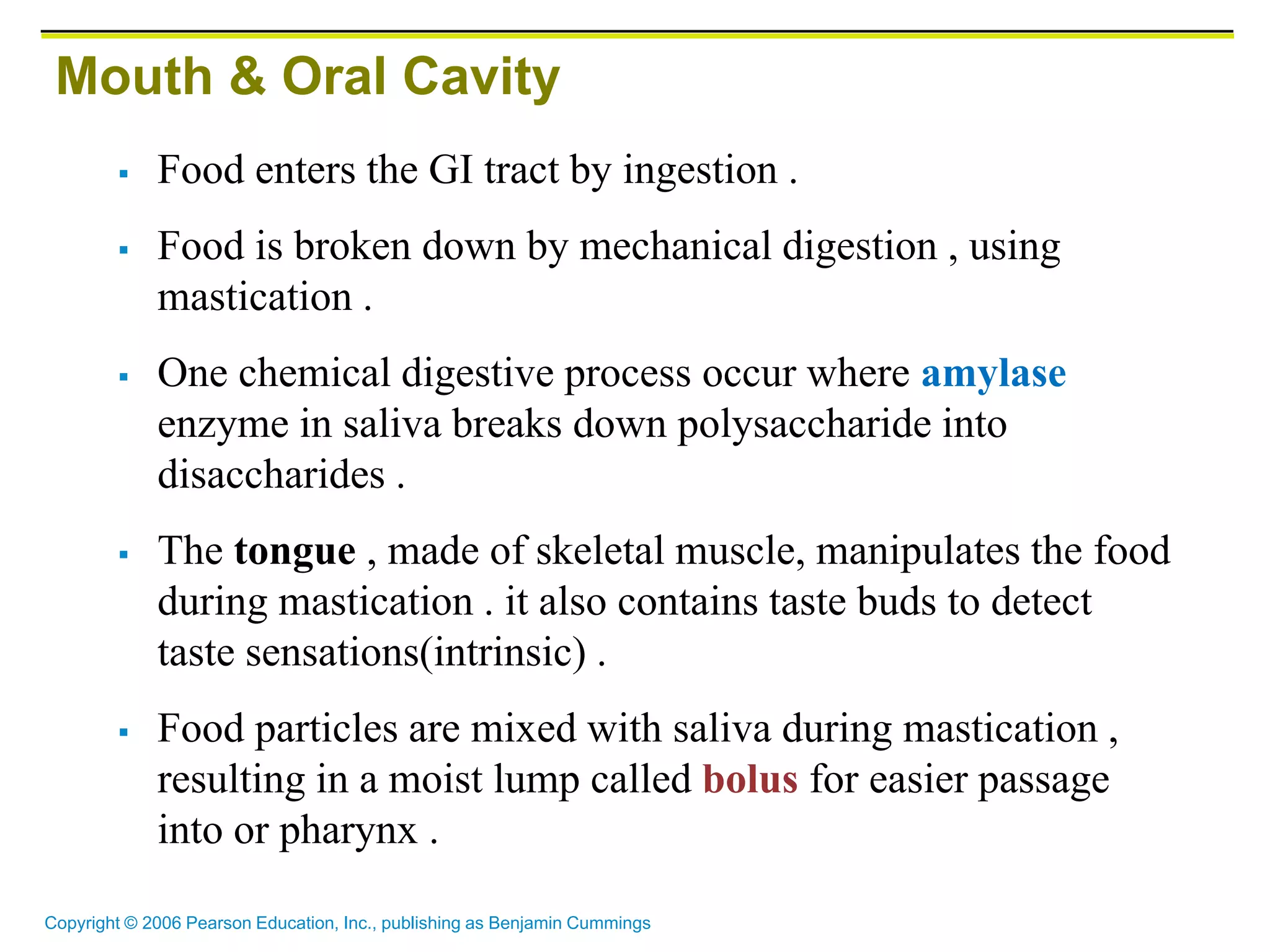 Digestive System - MyPharmaGuide | PDF