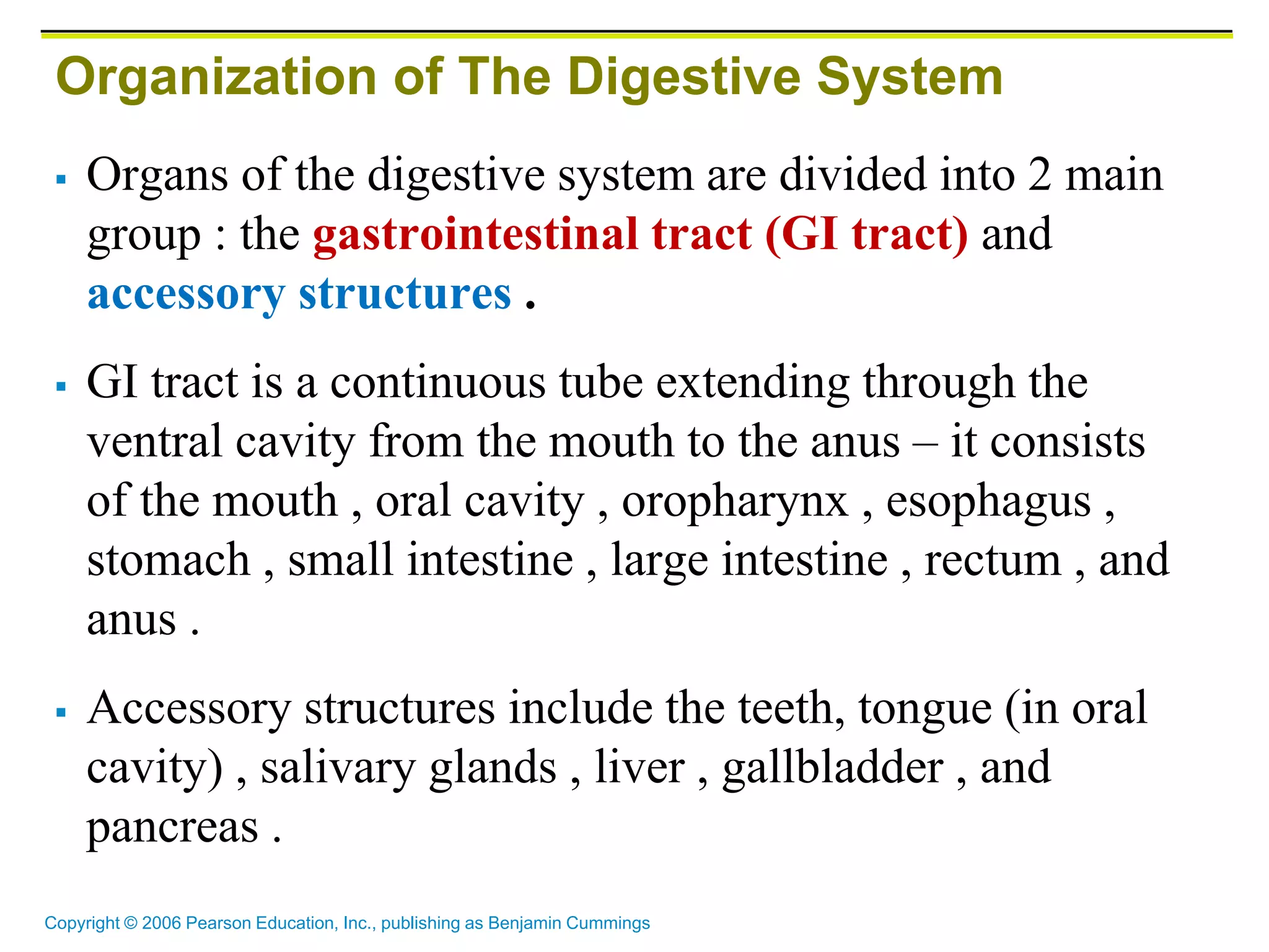 Digestive System - MyPharmaGuide | PDF