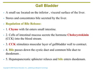 Digestive System - MyPharmaGuide | PDF